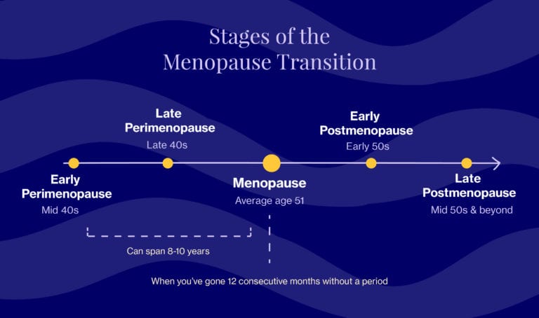 Perimenopause 101: Everything You Need To Know